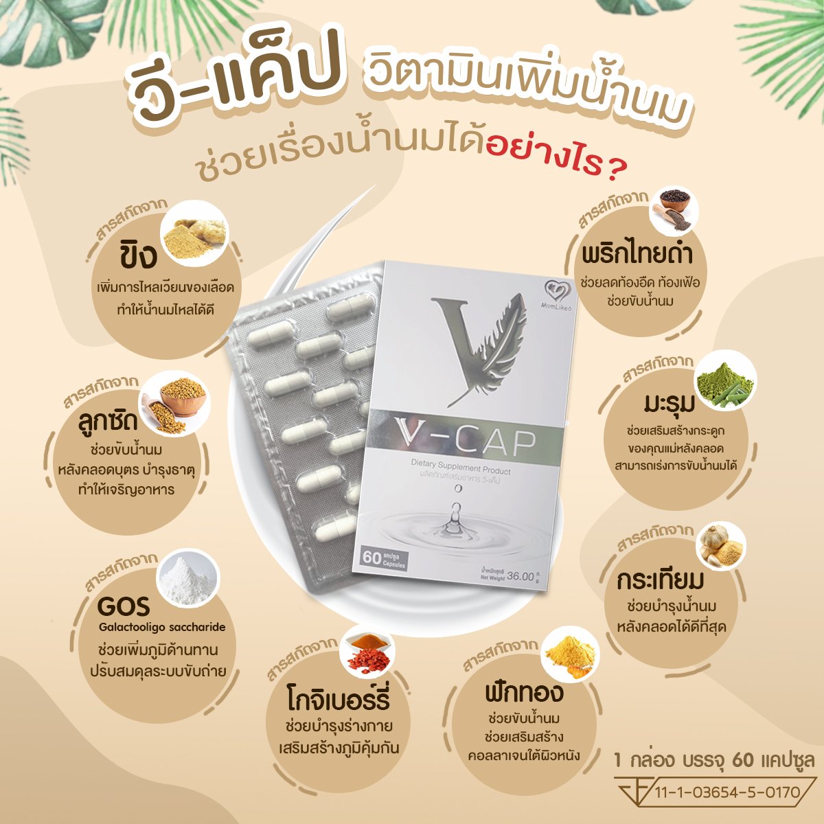 V-CAP ตัวช่วยกู้น้ำนม ฉบับเร่งด่วน !! - momlike