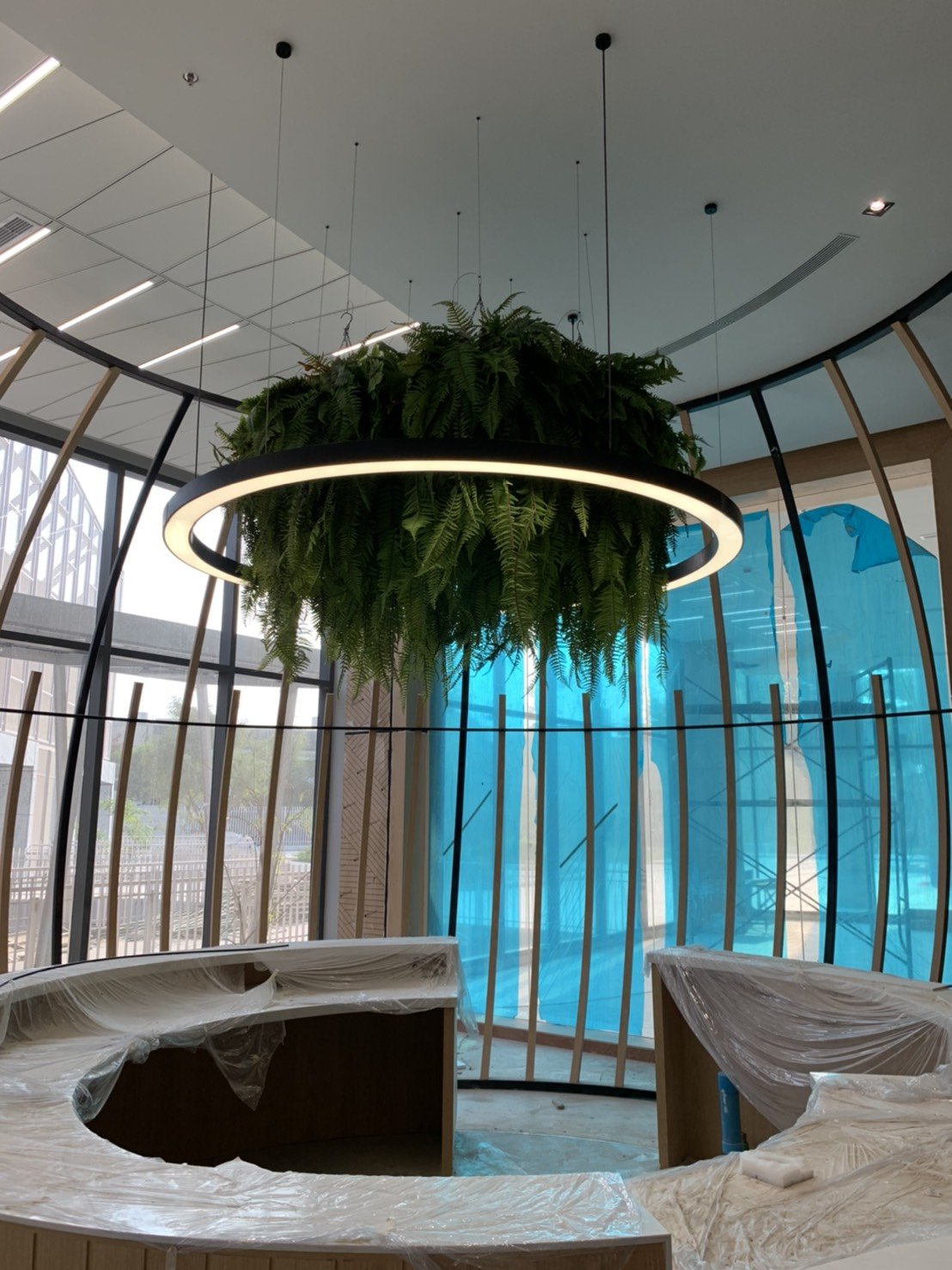 Air Asia - lightinghouse