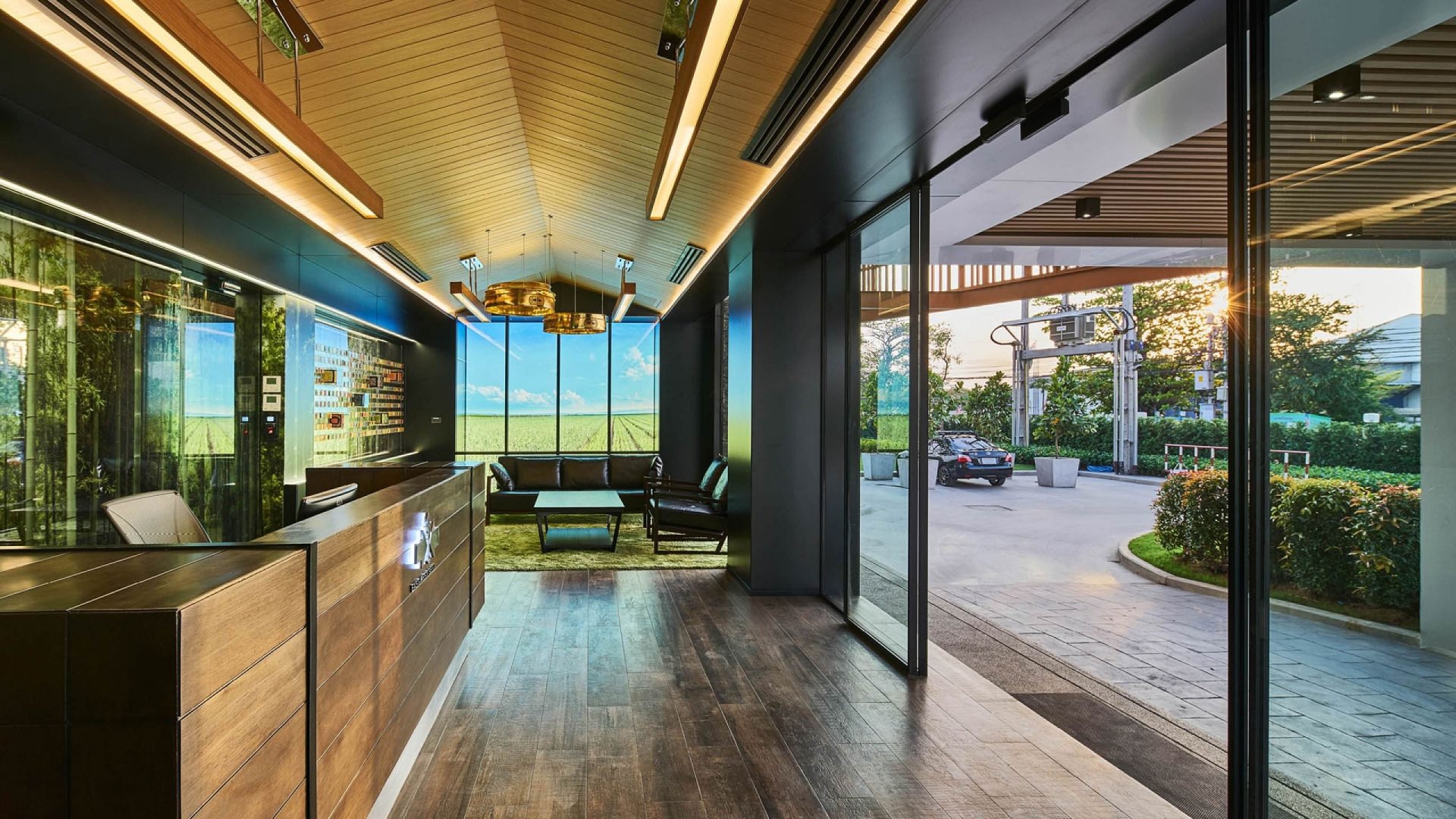 East West Seed - lightinghouse