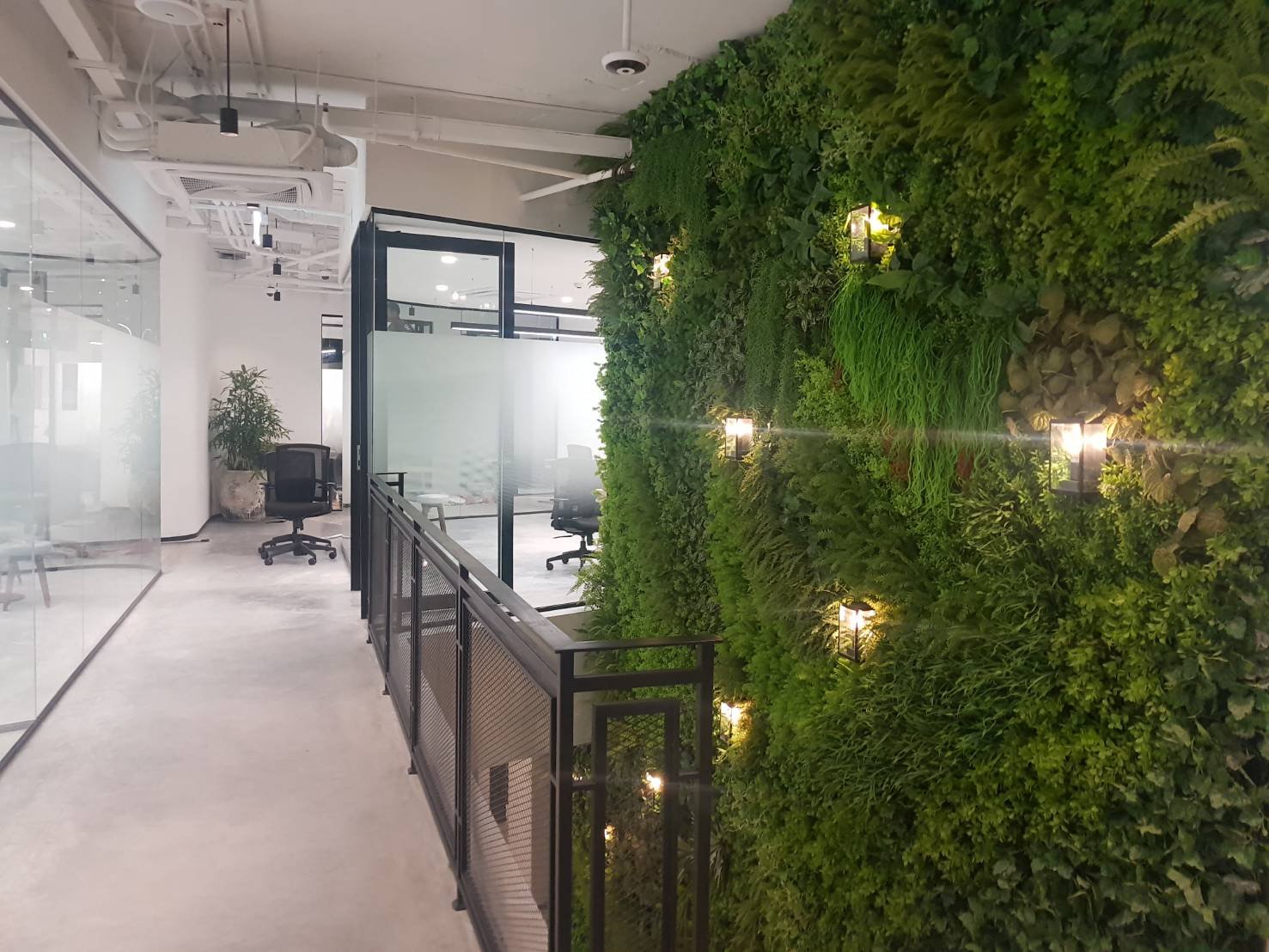 GLOWFISH - lightinghouse