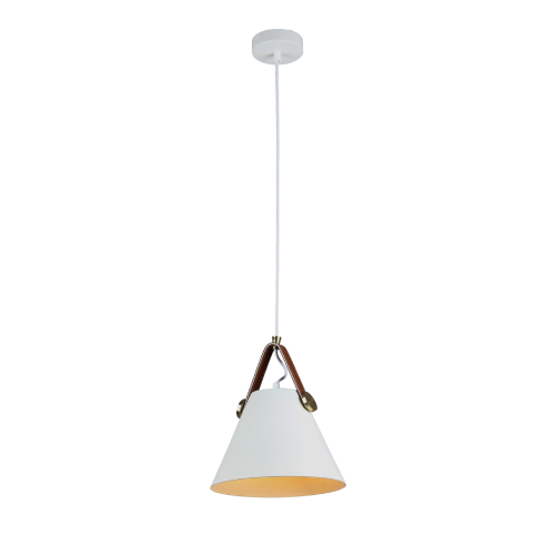 Kiwi - lightinghouse