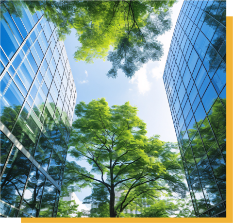 YTC Thailand | Trading company specializing in color and light