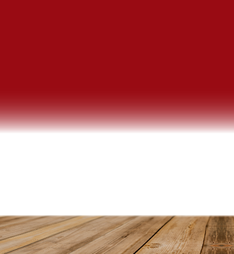 ZHENGDA Chicken Steak - On-the-Go Street Food Snack