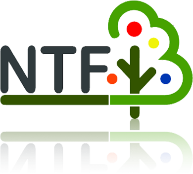 NTF Intergroup (Thailand)