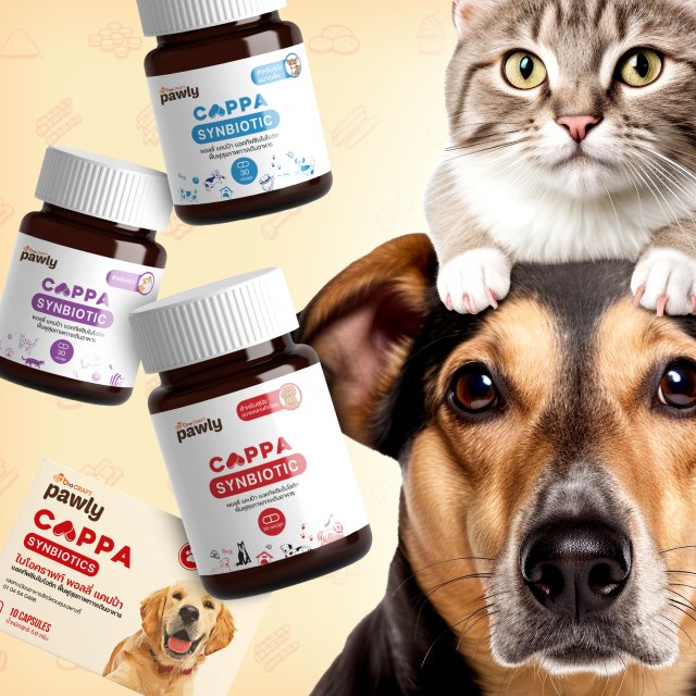 ผลิตภัณฑ์สำหรับสัตว์เลี้ยง - ผลิตภัณฑ์จุลินทรีย์สำหรับสัตว์เศรษฐกิจคุณภาพพรีเมียม | SAS