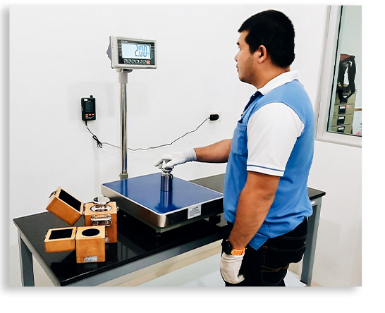 Available scales Instrumentation and after-sales service