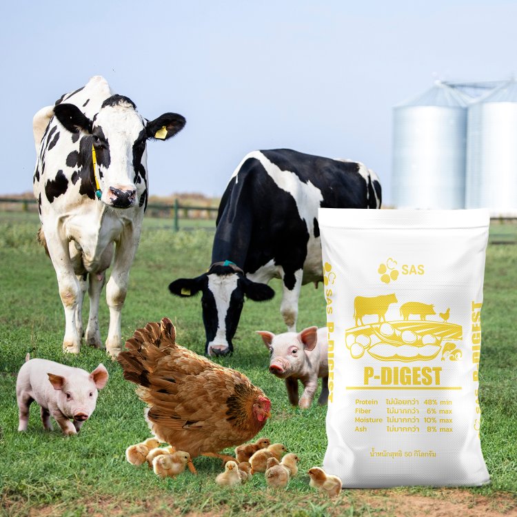 ผลิตภัณฑ์สำหรับสัตว์เศรษฐกิจคุณภาพพรีเมียม - ผลิตภัณฑ์จุลินทรีย์สำหรับสัตว์เศรษฐกิจคุณภาพพรีเมีย ...