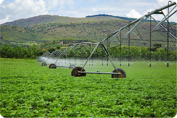 Rubber LPG/Propane gas hose 300 psi - ptiglobalproducts