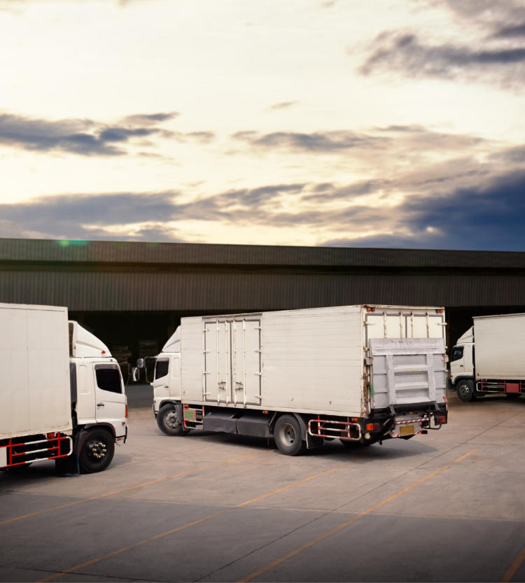 CE Logistics Cambodia