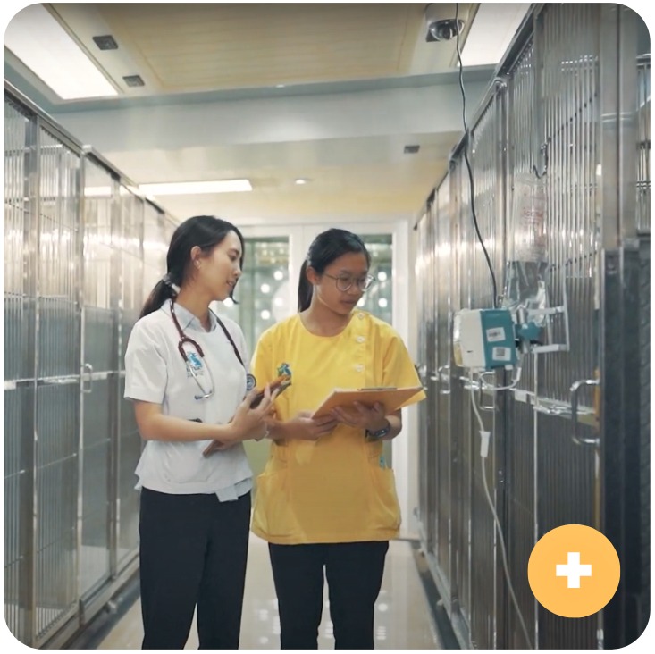 โรงพยาบาลสัตว์เศรษฐกิจสัตวแพทย์ Setthakit Animal Hospital