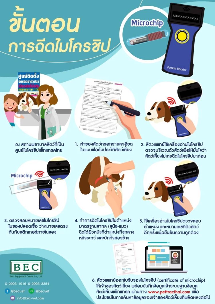 setthakitanimalhospital - setthakitanimalhospital