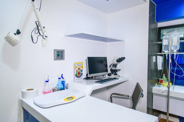 ประวัติความเป็นมา - setthakitanimalhospital