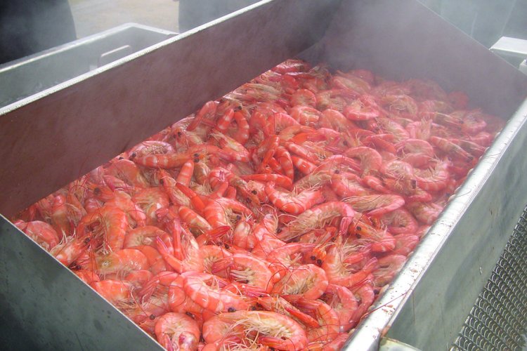 Cooking Machine - mechfood