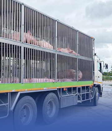 International Freight Forwarding Company – AST Express