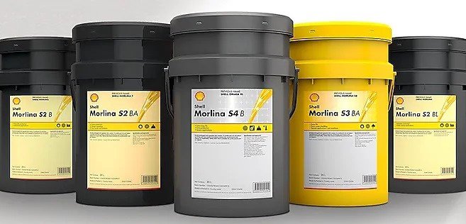 Shells - thaibearingtech01