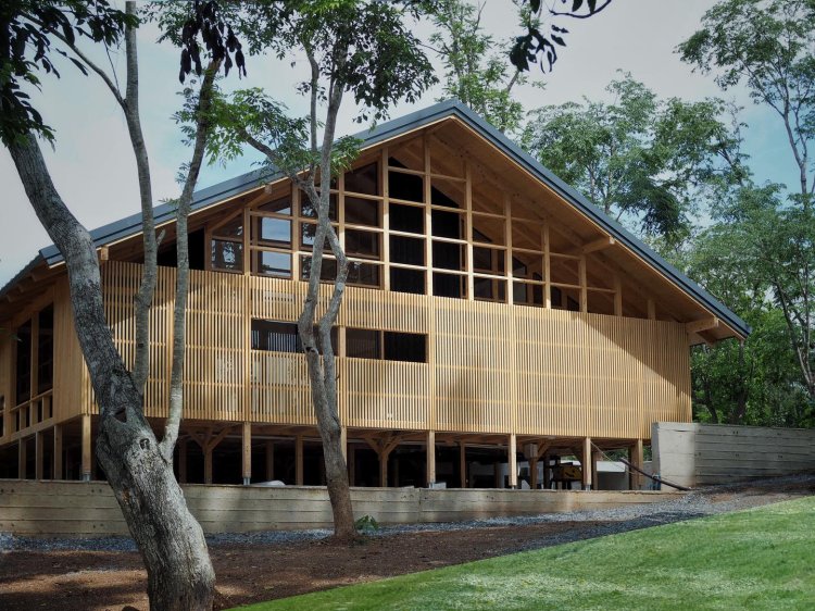 timber-charm - timber-charm