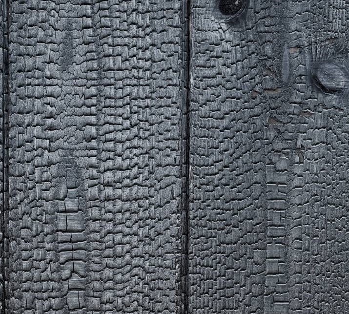 timber-charm - timber-charm