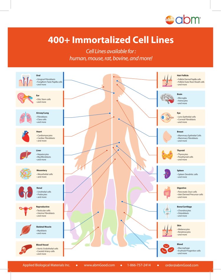 ABM - Brochure - smartscience