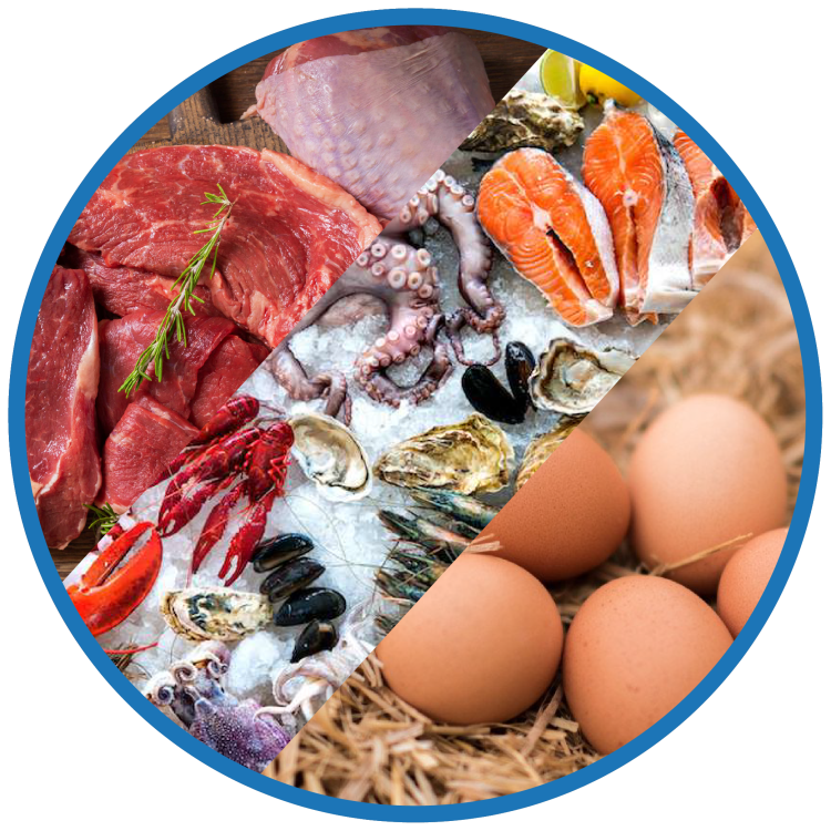 smartscience - smartscience