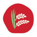 High-Quality Wheat Flour Factory I nisshinstc.com