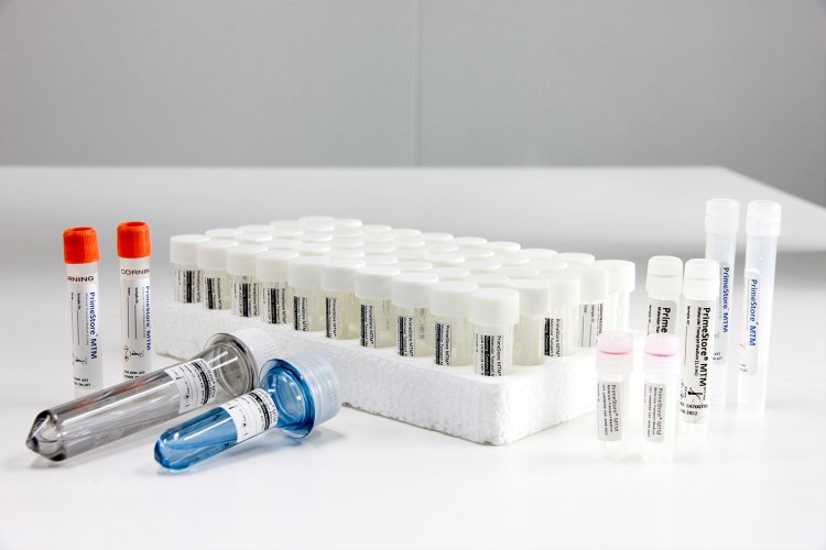 PORCINOTEC วิจัยและให้บริการคำปรึกษาทั้งในและต่างประเทศ