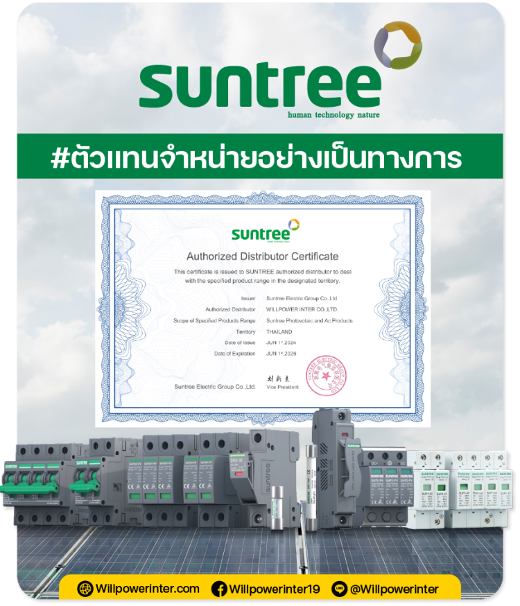 Willpower Inter | ตัวแทนจำหน่าย Suntree อย่างเป็นทางการ