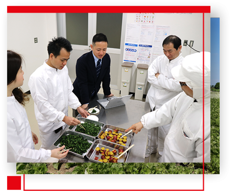 T N D Foods Industry Co.,Ltd.