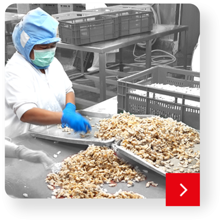 T N D Foods Industry Co.,Ltd.