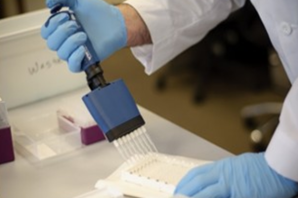 Enzyme Analysis Services - varluaid