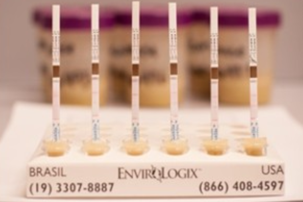 Enzyme Analysis Services - varluaid