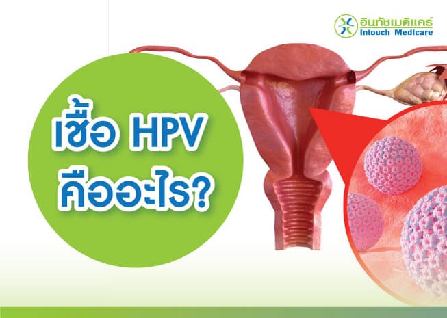 หูดหงอนไก่ โรคติดต่อทางเพศสัมพันธ์จากเชื้อ HPV - intouchmedicare
