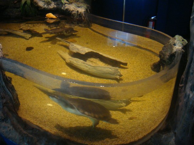 SERVICES & PRODUCTS - aquaworld