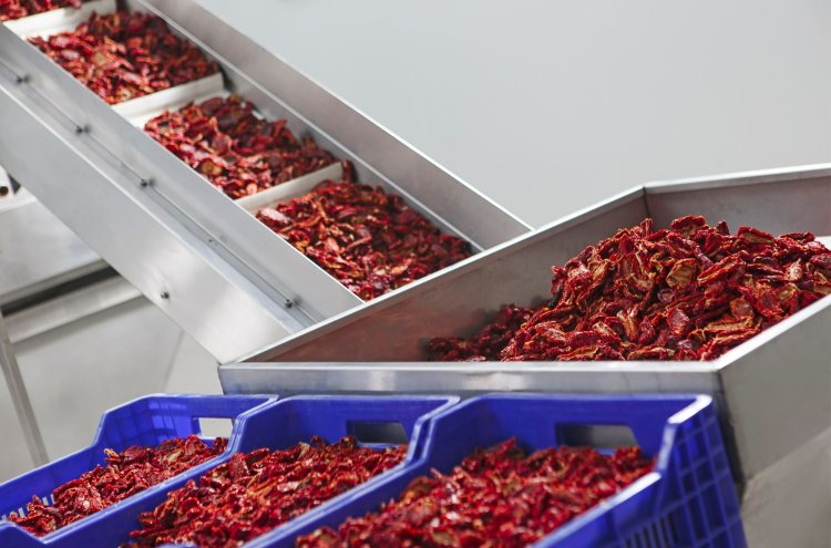 Our Factory - sjproducts