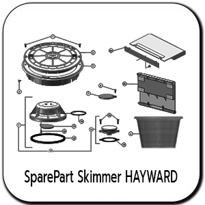 Skimmer for Pool - winwinpoolshop