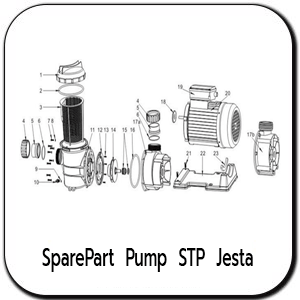 Jesta Swimming Pool Pump - winwinpoolshop