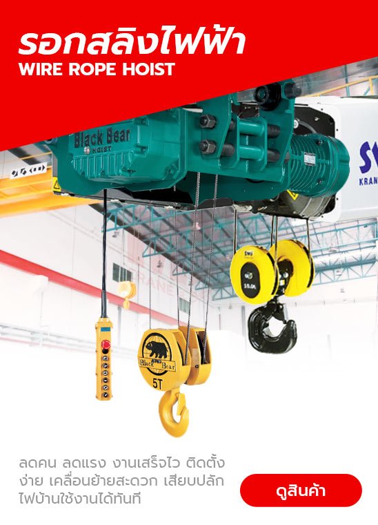 liftcranehoist - liftcranehoist