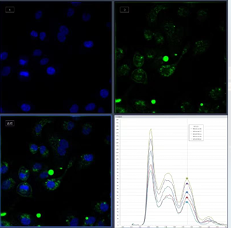 Hyperspectral Microscope System | Hong Kong NTI