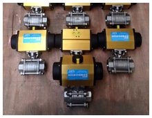 รูปหัวขับลม Sirca / Pneumatic Actuator SIRCA - pneuma