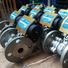 รูปหัวขับลม Sirca / Pneumatic Actuator SIRCA - pneuma