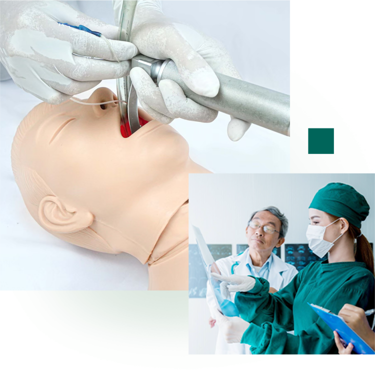 BM SIMULATOR หุ่นฝึกทางการแพทย์ บ.บริลเลี่ยน รับเบอร์ จก.