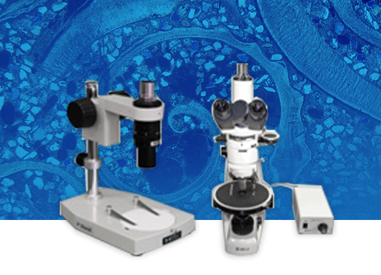 MEIJI Techno F.E.S. ตัวแทนจำหน่ายในประเทศไทย