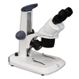 Stereo Microscopes - siammicroscope