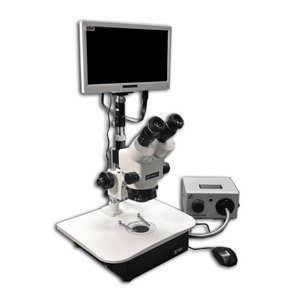 Stereo Microscopes - siammicroscope