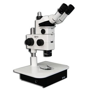 Stereo Microscopes - siammicroscope