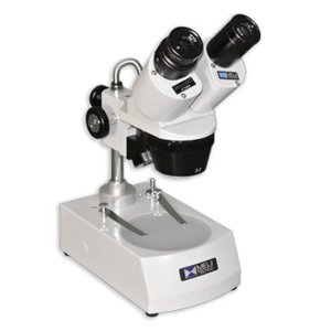 Stereo Microscopes - siammicroscope
