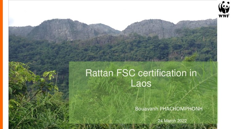 FHCM Regional Rattan Standard Workshop - forestharvestforum