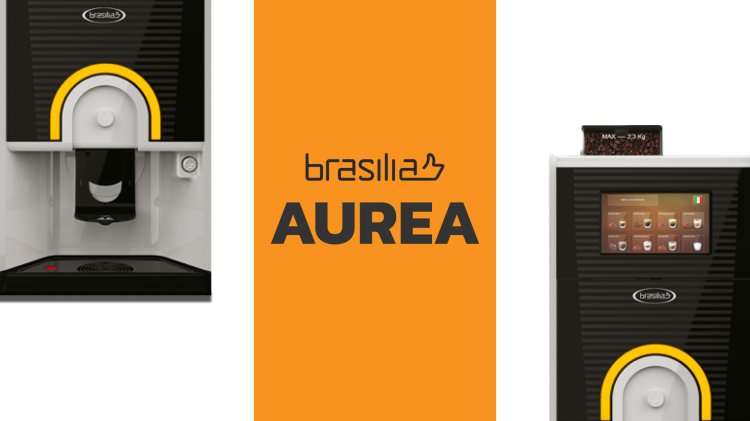 mistercoffeeshop - mistercoffeeshop