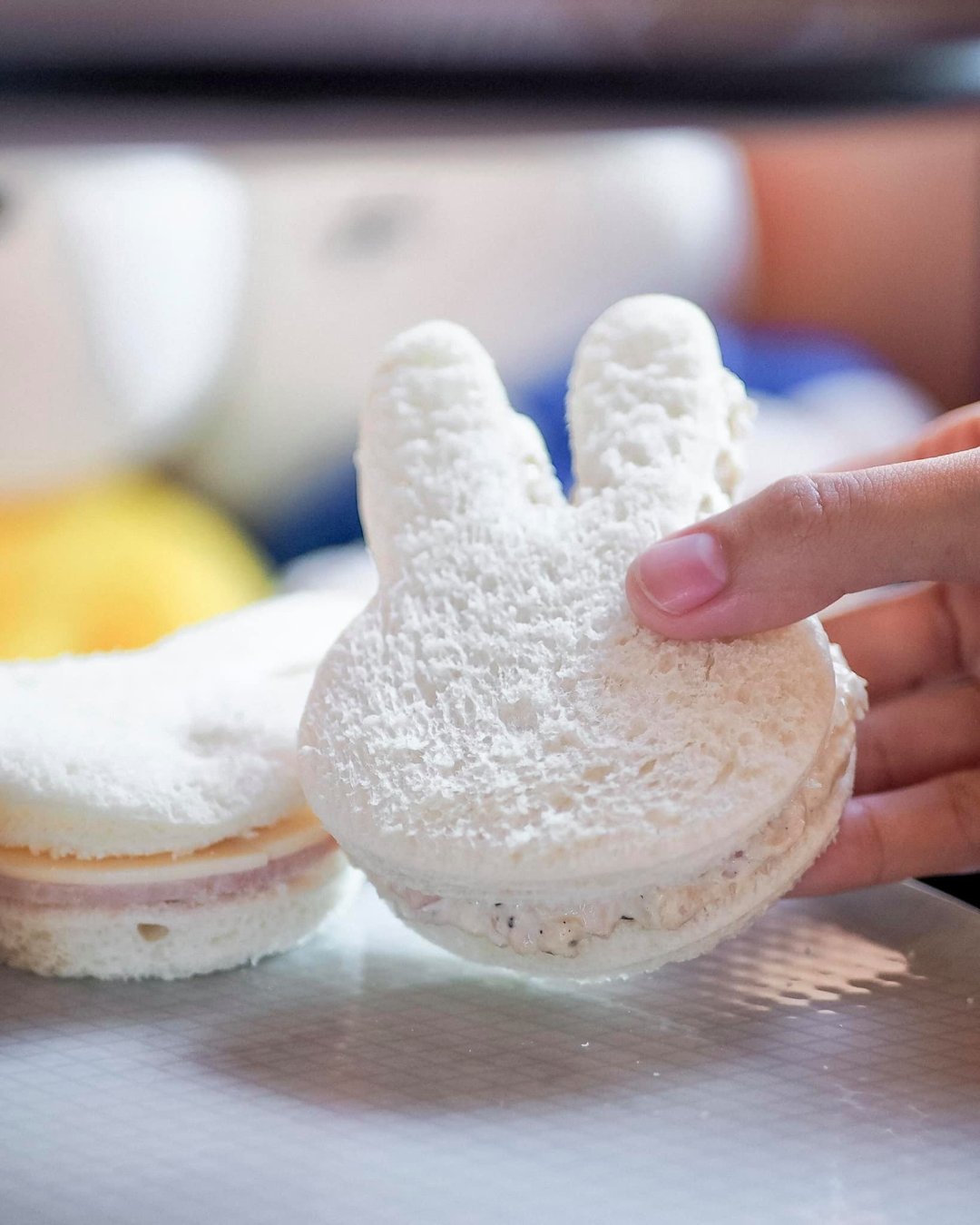 camelrepublicpark.com