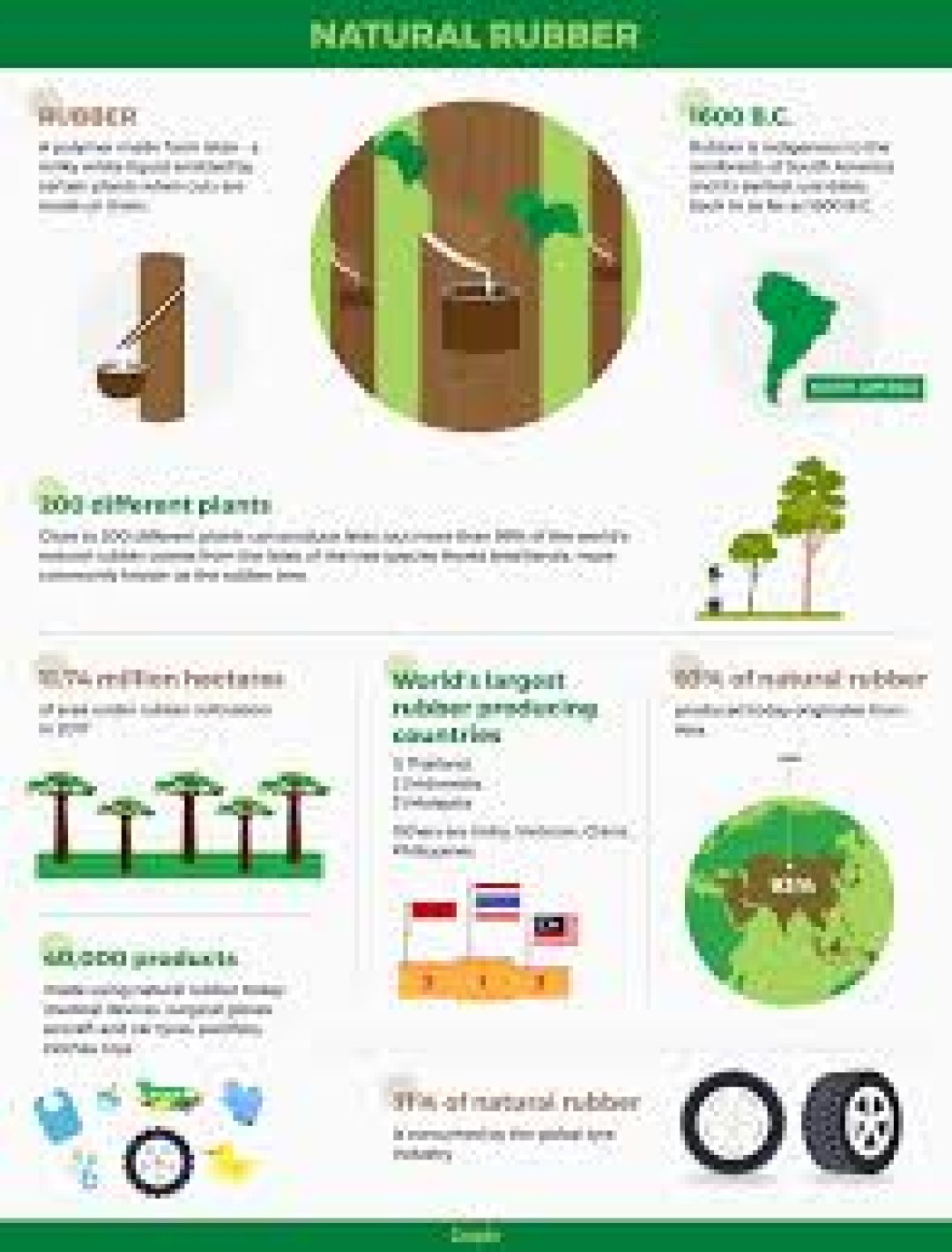 Thai Rubber Export Outlook 2026 & Global Rubber Trends: Standards ...