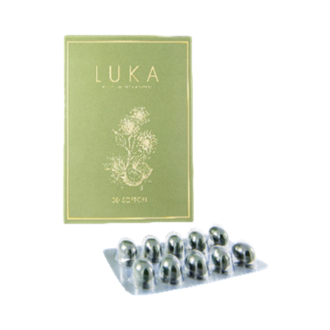 BS Express : บีเอสเอ็กซ์เพรส บริการขนส่งสินค้าภายในและต่างประเทศ